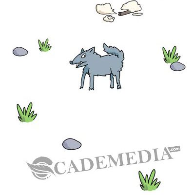 Kunci Jawaban Brain Find Level 51 52 53 54 55 56 57 58 59 60