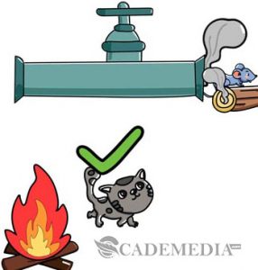 Tangkap Tikus: Jawaban Brain Out Level 92 - CadeMedia