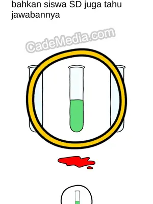 Pertanyaan mudah yang bahkan anak SD juga tahu jawabannya (Brain Out No ...